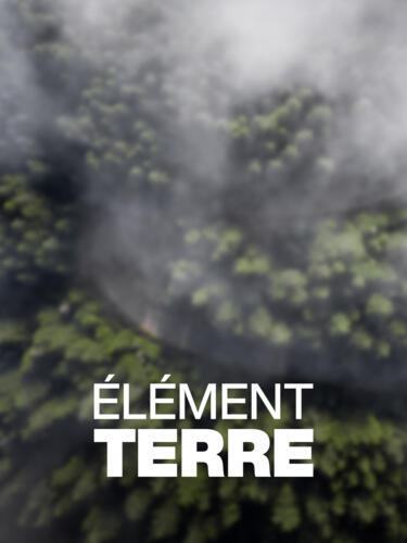 Élément Terre