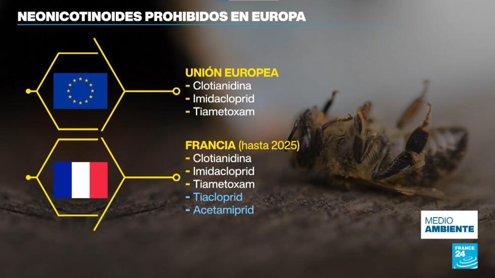 Con la Ley Duplomb, Francia revive un insecticida que afecta a las ...
