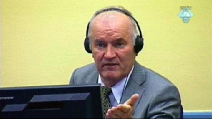 Court enters not guilty plea as Mladic disrupts hearing - France 24