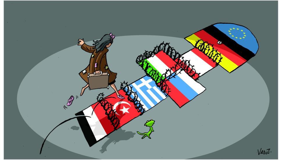 L'actu en dessin : hommage à la Déclaration universelle des droits de l ...