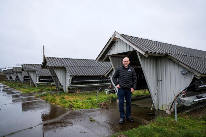 After Covid cull, Danish mink farmers find new careers