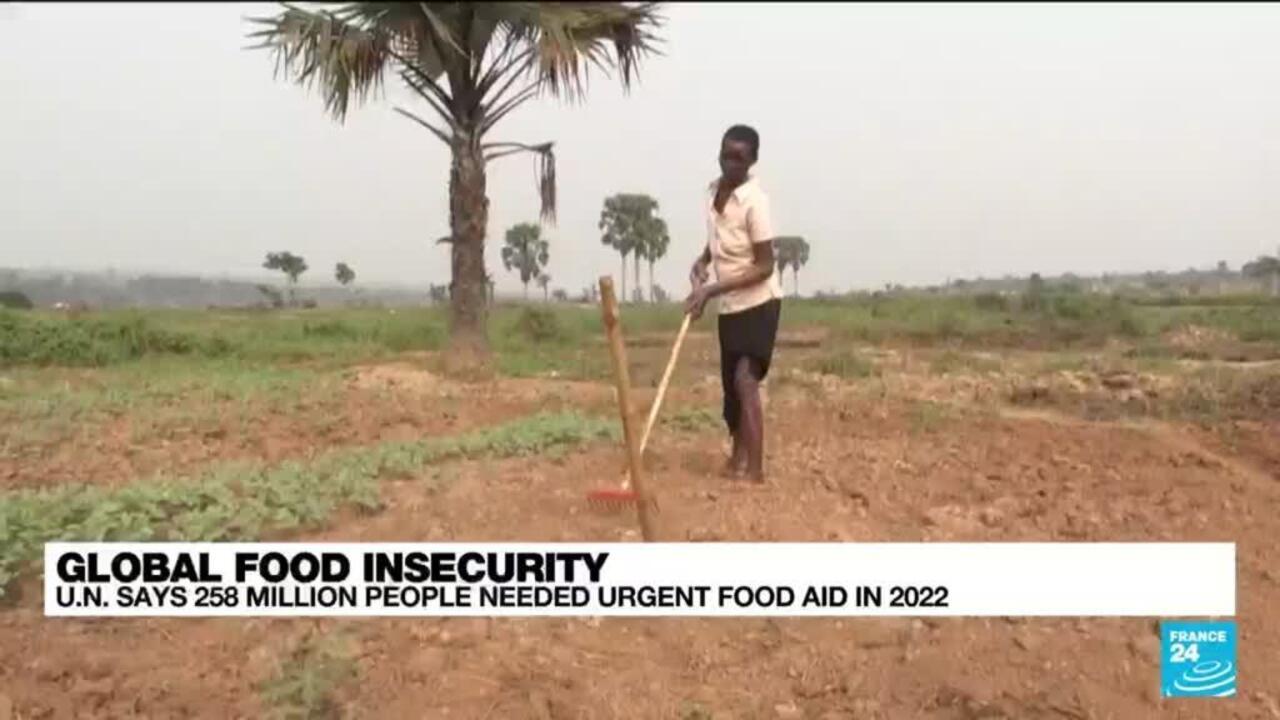 Global food insecurity - France 24