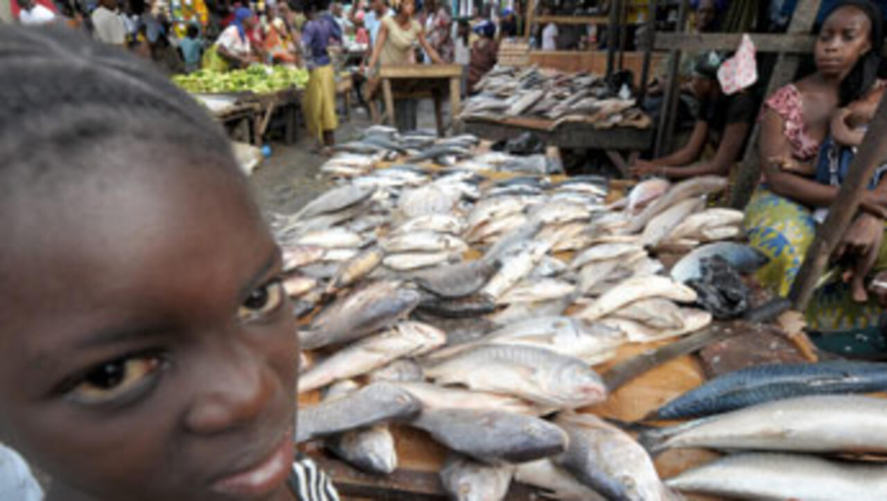 UN food summit agrees on global plan