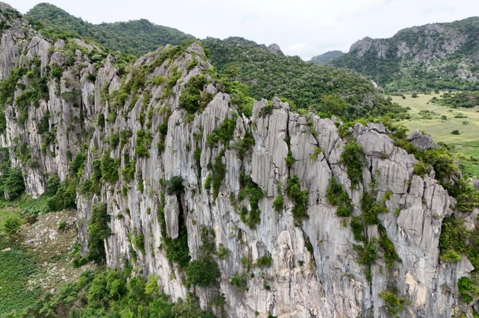 Du karst cambodgien jaillissent de nouvelles espèces animales