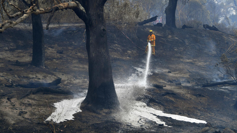 Thousands flee as heatwave-fuelled bushfires reach Melbourne