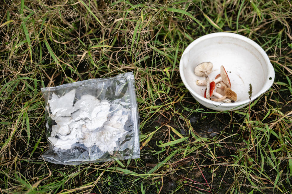 Japan 'poop master' gives back to nature