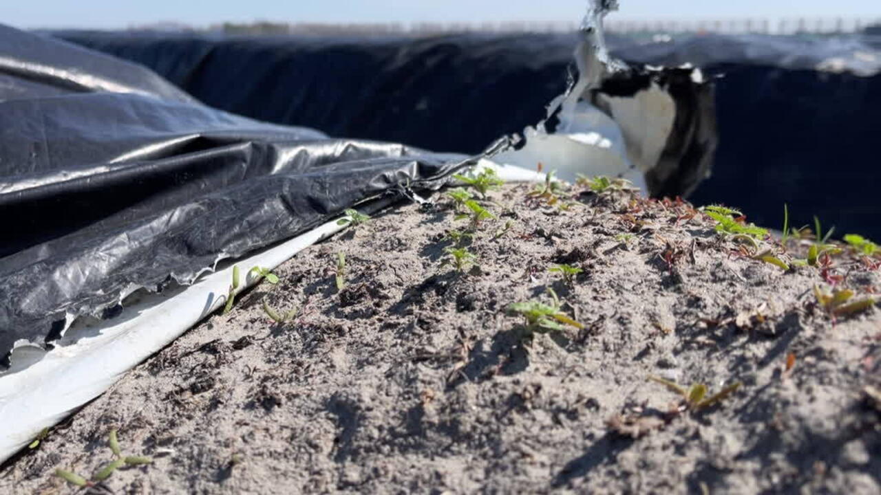 Microplastic invasion: Oceans, soil and food? - Down to Earth