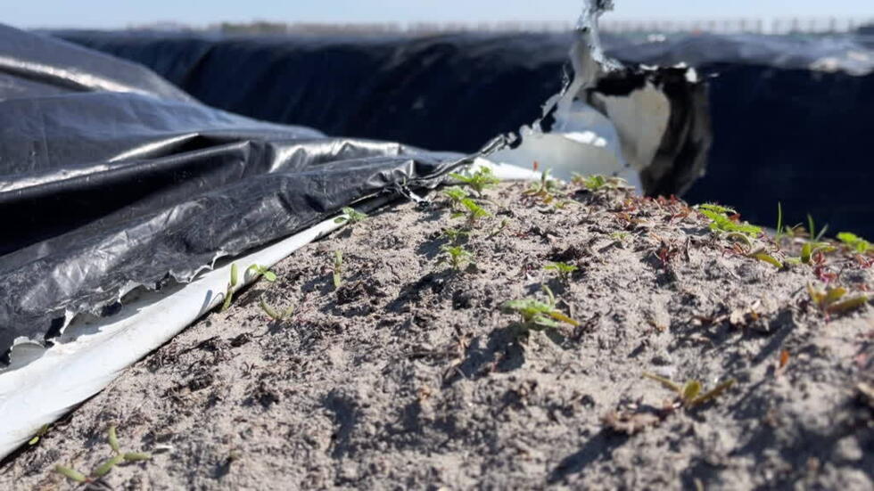 Microplastic invasion: Oceans, soil and food? - Down to Earth