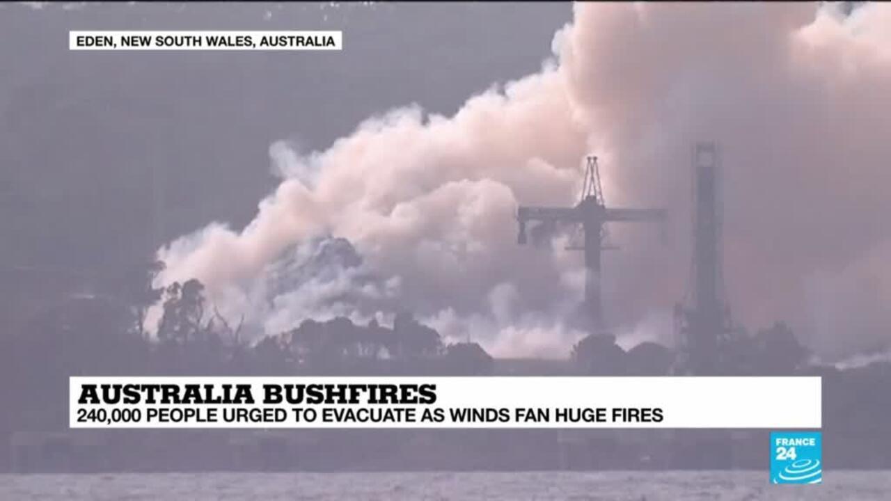 Protests are being held against the Australian government's inaction on ...