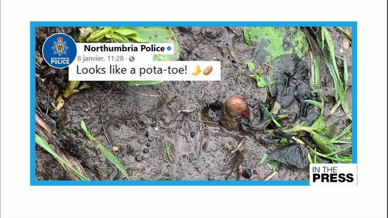 It's not a toe, it's a 'pota-toe' - Press Review