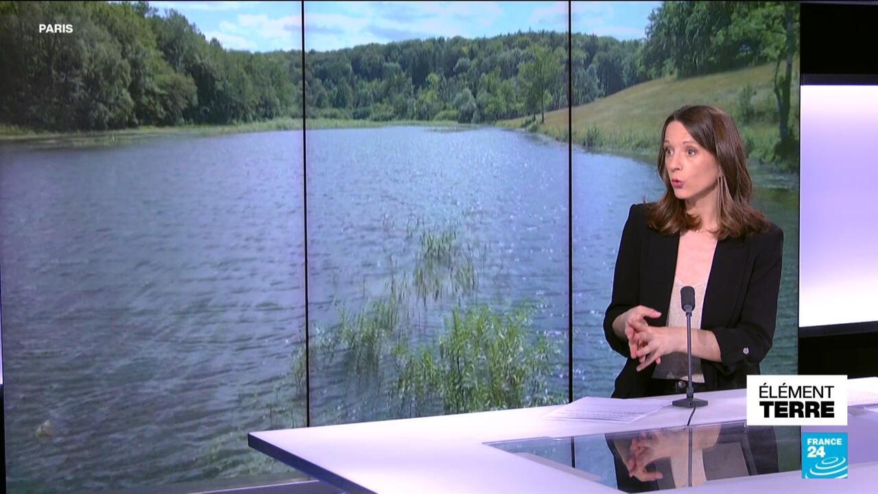 Pollution aux microplastiques : les fleuves d'Europe massivement envahis - Élément Terre, la ...