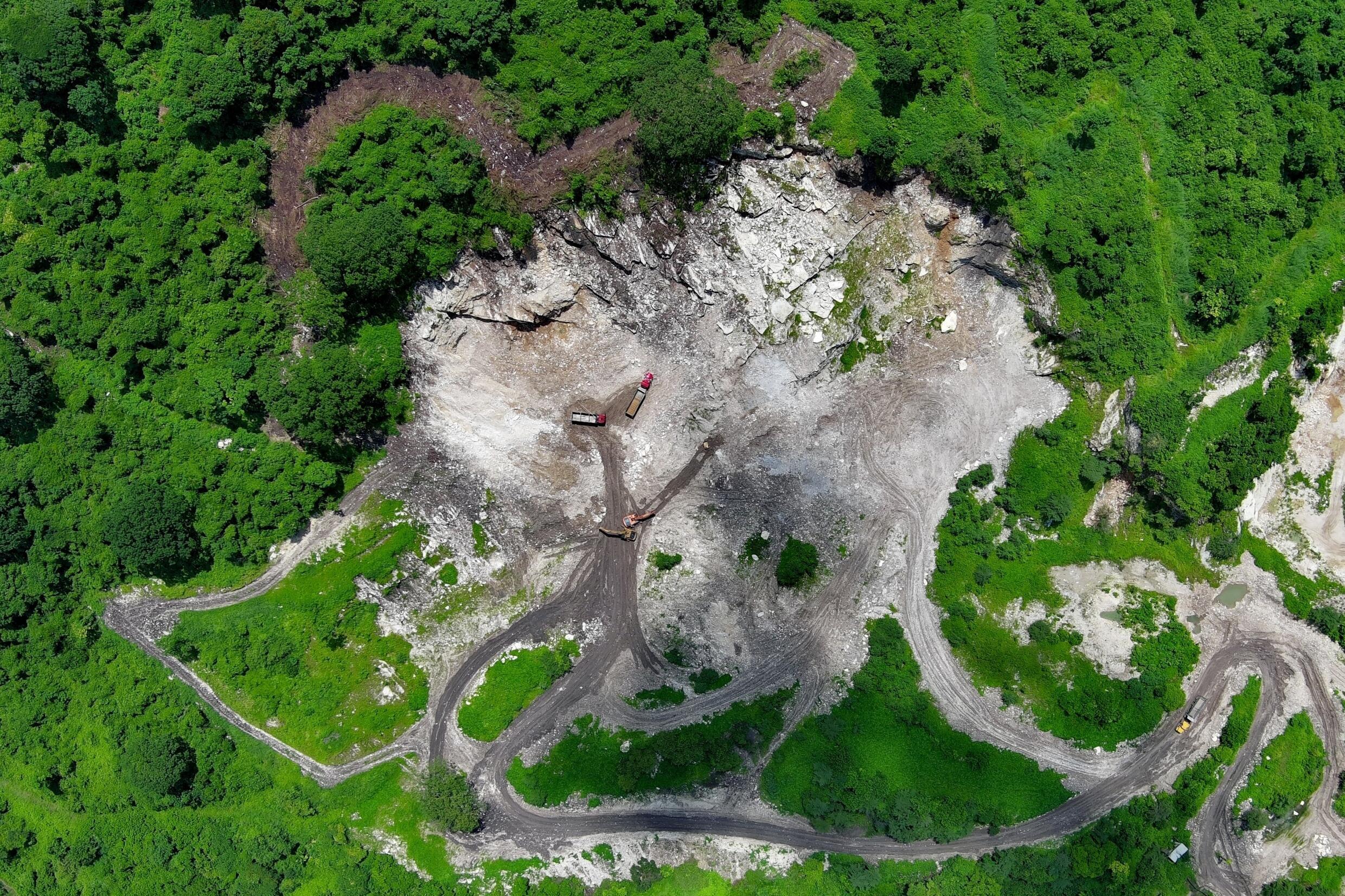 A primal forest encircled by Ecuador port faces ruination