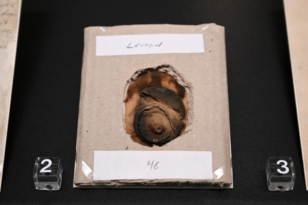 UK spy agency MI5 reveals fruity secrets in new show