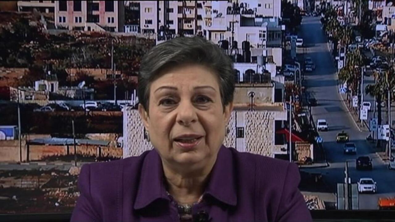 Hanan Ashrawi: Palestinian unity deal 'will empower us in our Arab ...