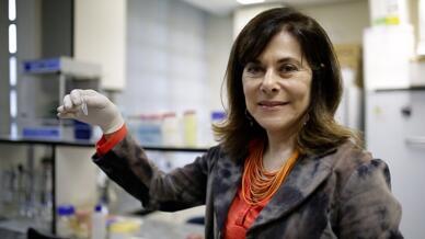 Brazilian geneticist Mayana Zatz, tracking rare diseases - Women in ...