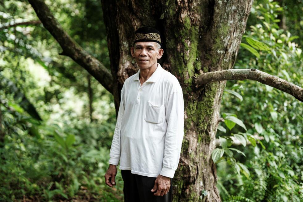 Climate change takes spice from Indonesia clove farms