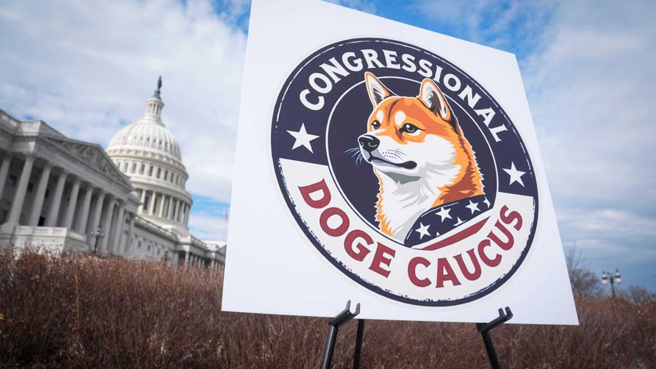 إيمي غليسون... تعويذة لإخفاء هيمنة إيلون ماسك على الإدارة الأمريكية؟