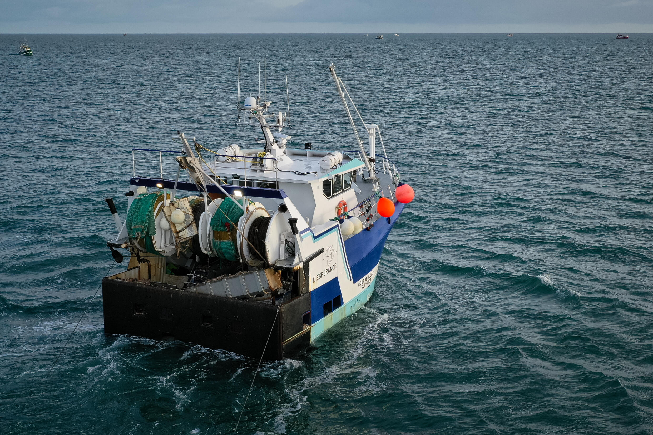 Coquille Saint-Jacques: l'or blanc du Bessin se porte bien