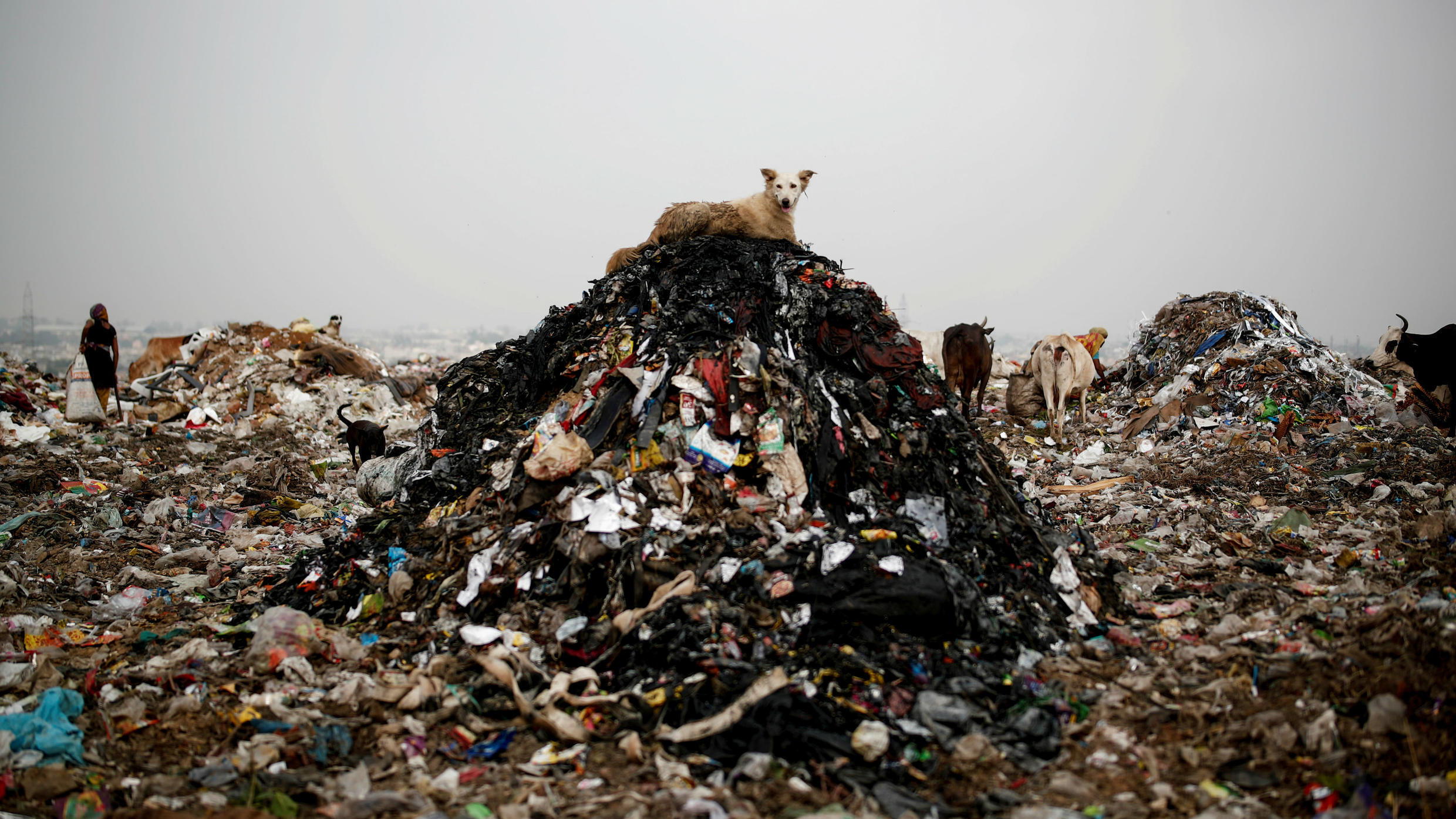 Más grande que el Taj Mahal: así es la montaña de basura en Nueva Delhi ...