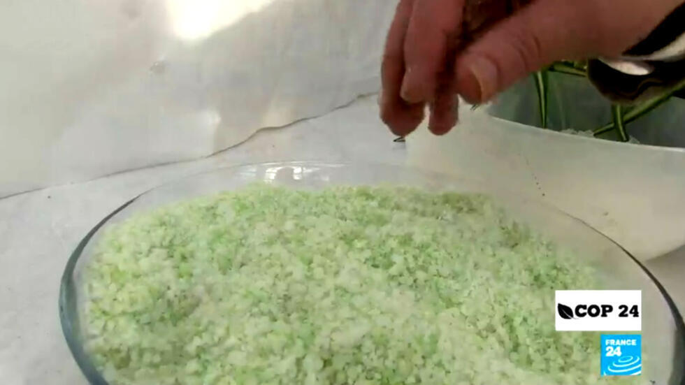 Le polyter, l'antidote au déréglement climatique