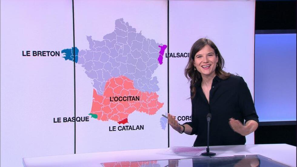 Linguistic treasures: Exploring France's regional languages - French ...