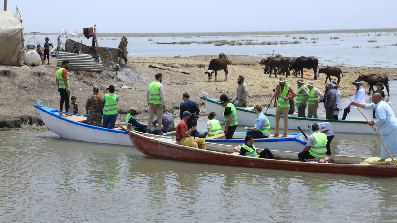 Trawling Iraq's threatened marshes to collect plastic waste