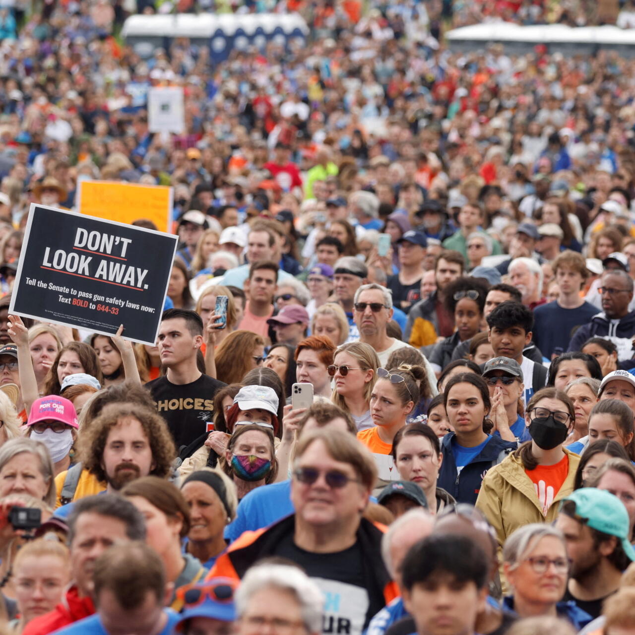 Gun Rights Protest Signs