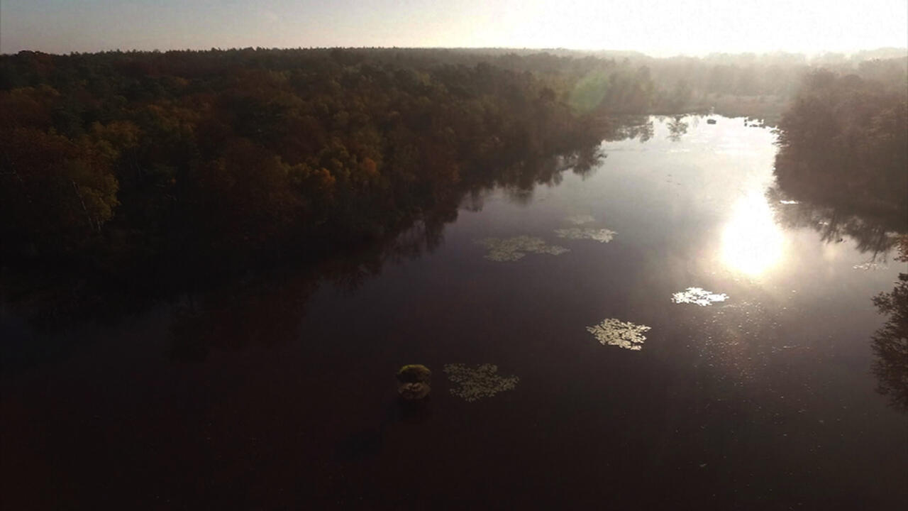 En Sologne, une forêt aux couleurs de l'automne - Vous êtes ici
