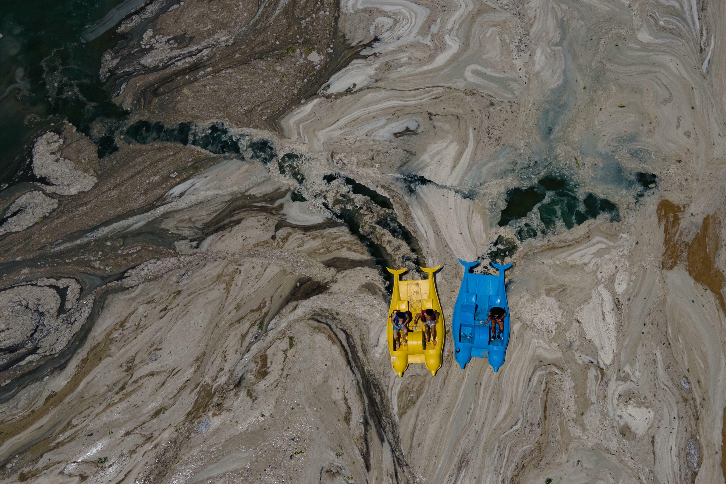 Drifting into trouble? The tiny ocean creatures with a global impact