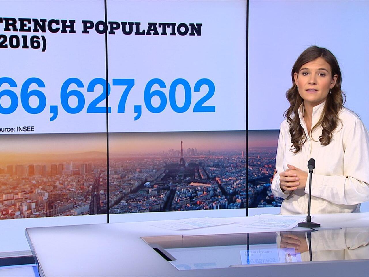 ethnic demographics france