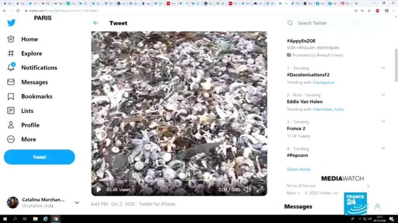 Chile protests: Outrage over video that shows boy being thrown off ...