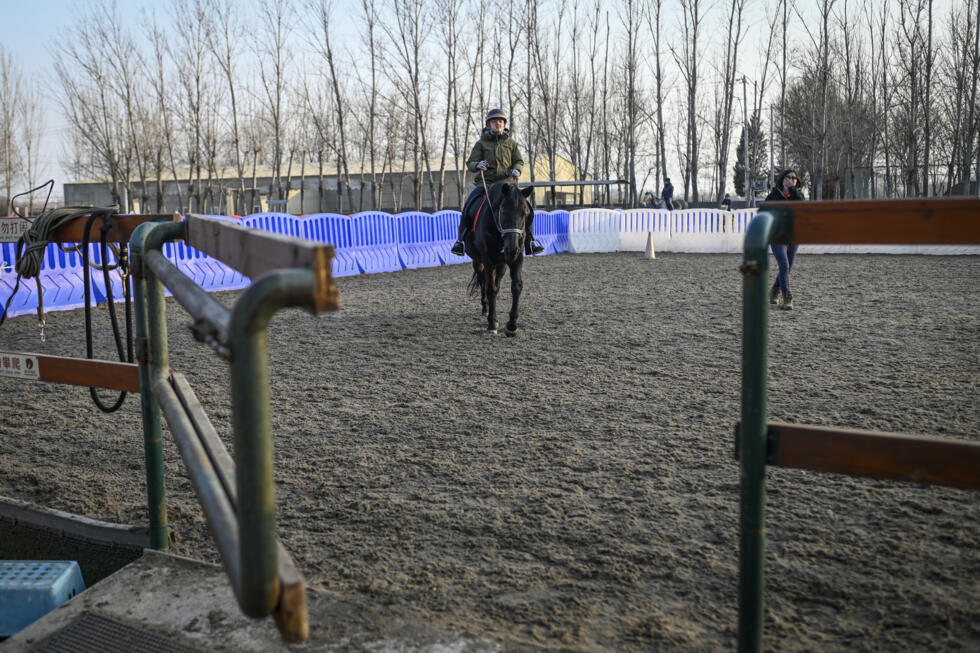 Beijing kids with autism get help from horses
