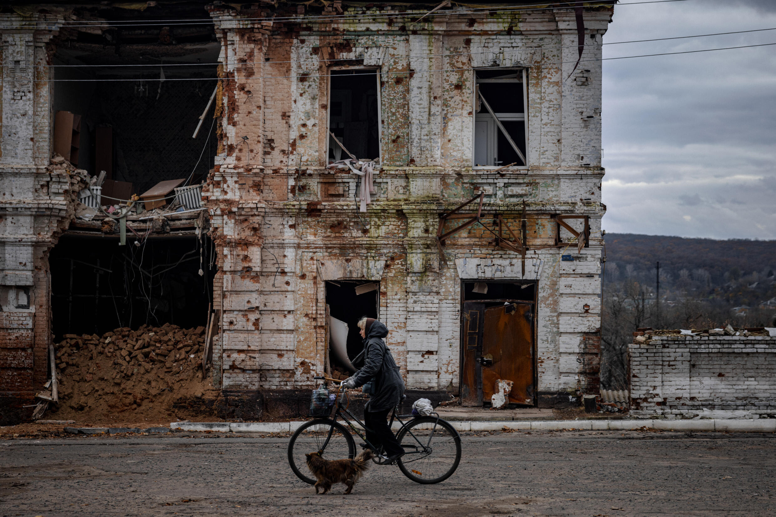 From pigs to TVs: Ukrainians despair at looting as Russia retreats