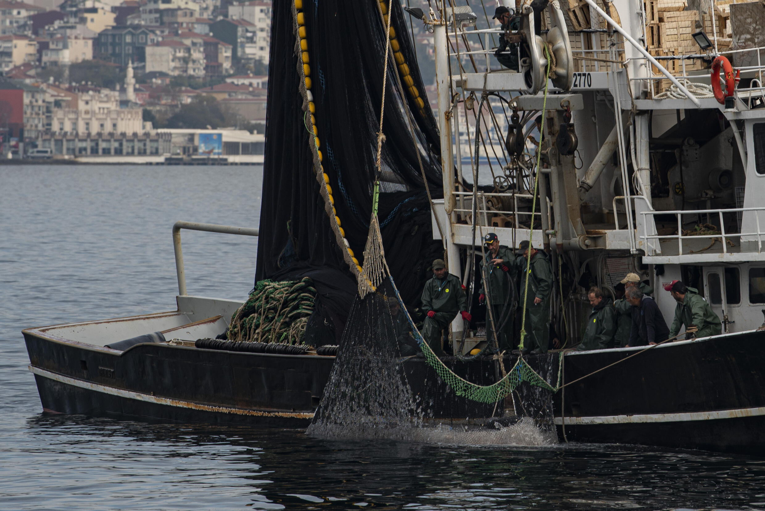 'Where are the mackerel?' Alarm as Bosphorus fish stocks crash
