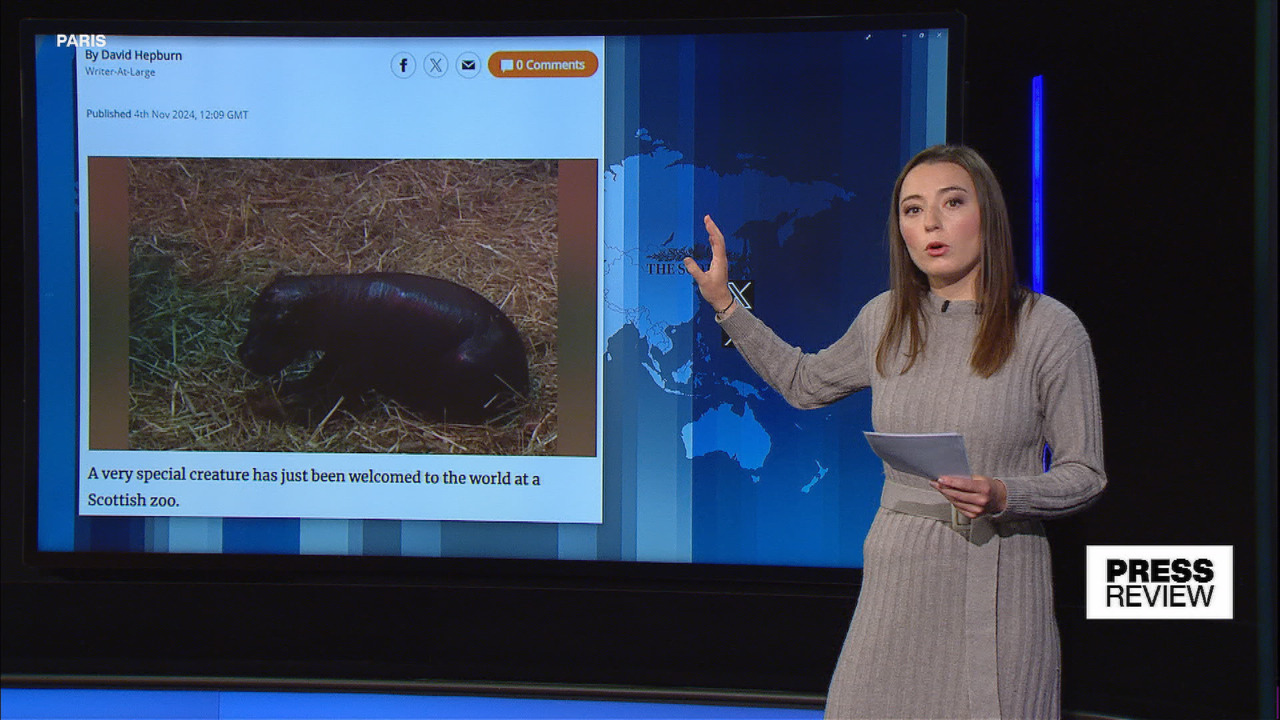 Does Moo Deng have competition from a younger, Scottish pygmy hippo ...