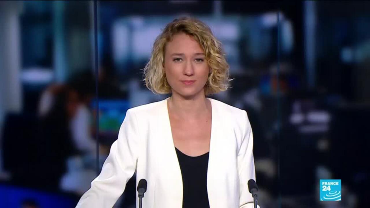 What exactly is the backstop? - France 24