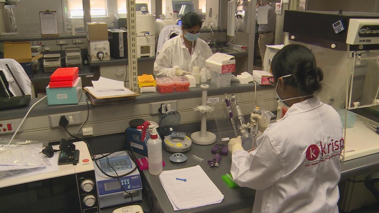 Covid-19 en Afrique du Sud : à la recherche du variant dans le ...