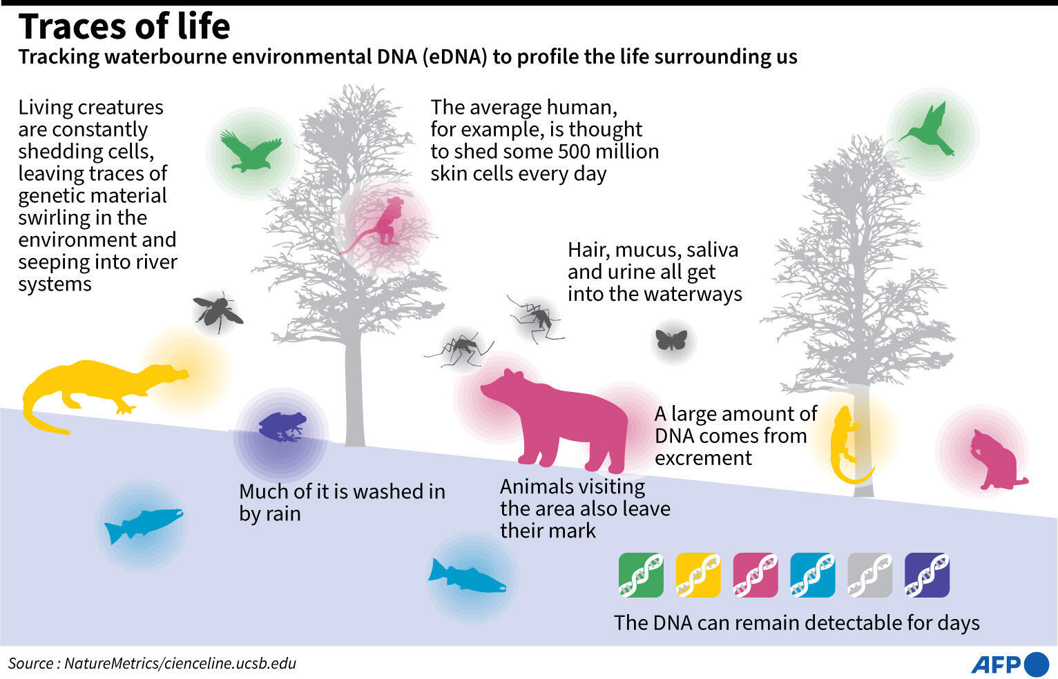 The world in a drop of water: DNA tool transforms nature tracking ...