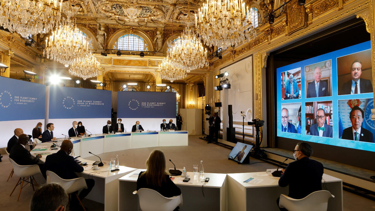 France hosts One Planet Summit aimed at protecting global biodiversity