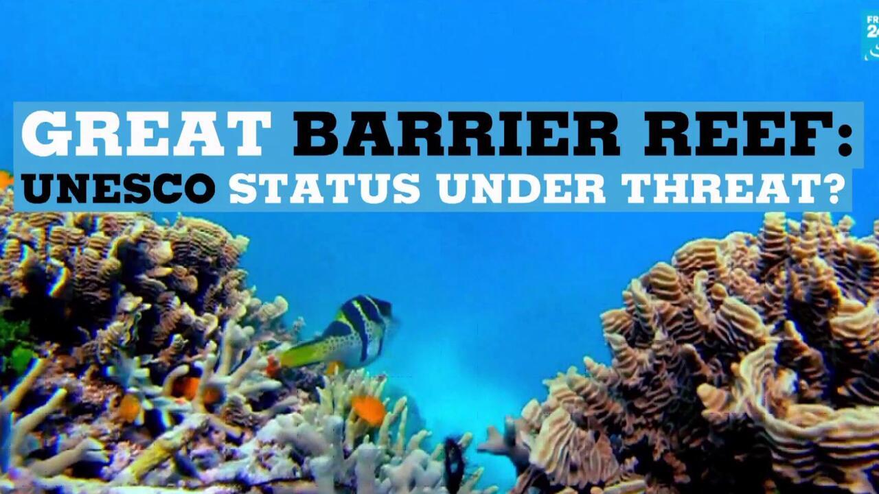Great Barrier Reef: UNESCO status under threat? - France 24