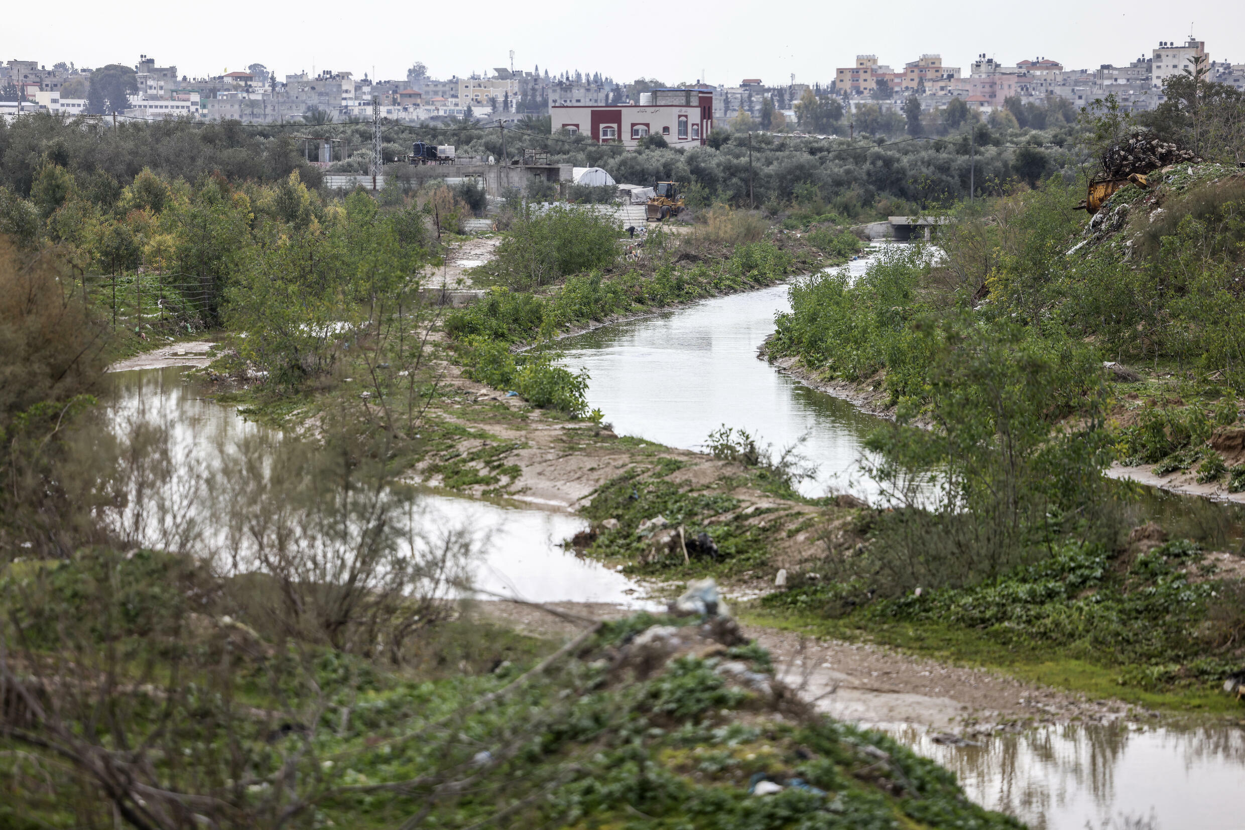 Pollution clean-up aims to create Gaza's first nature reserve