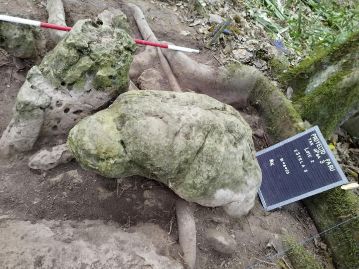 Remains of Mayan city nearly 3,000 years old unearthed in Guatemala