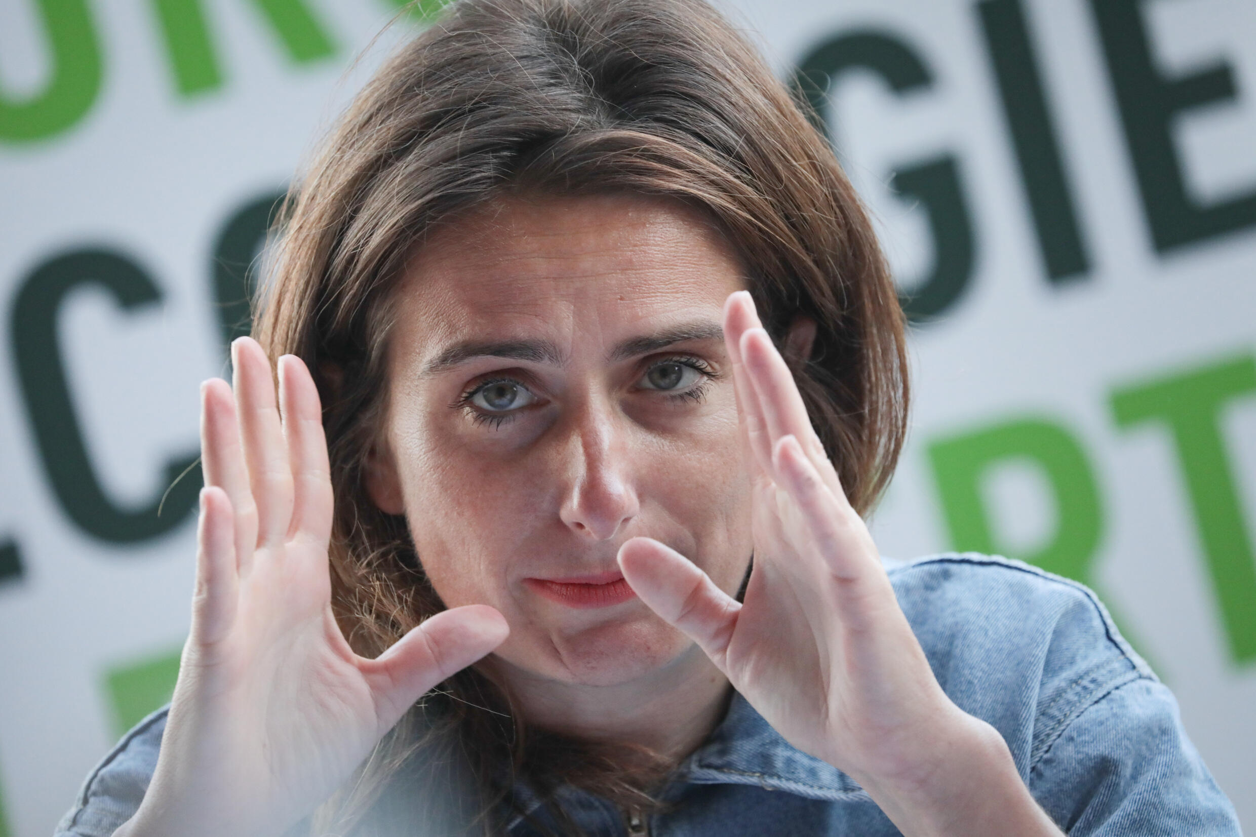 EELV lance son mouvement Les Écologistes