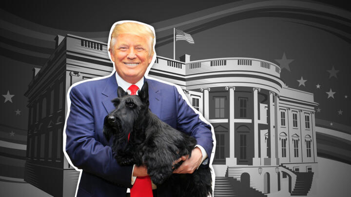 Comme chien et chat : quand Donald Trump se sert des animaux de ...