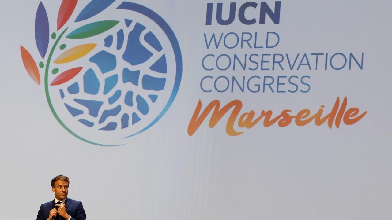 Global environment conference in Marseille to focus on wildlife protection