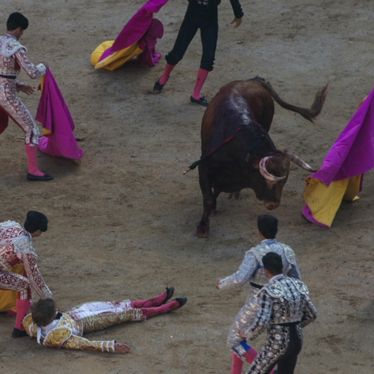 Spanish Bullfighting
