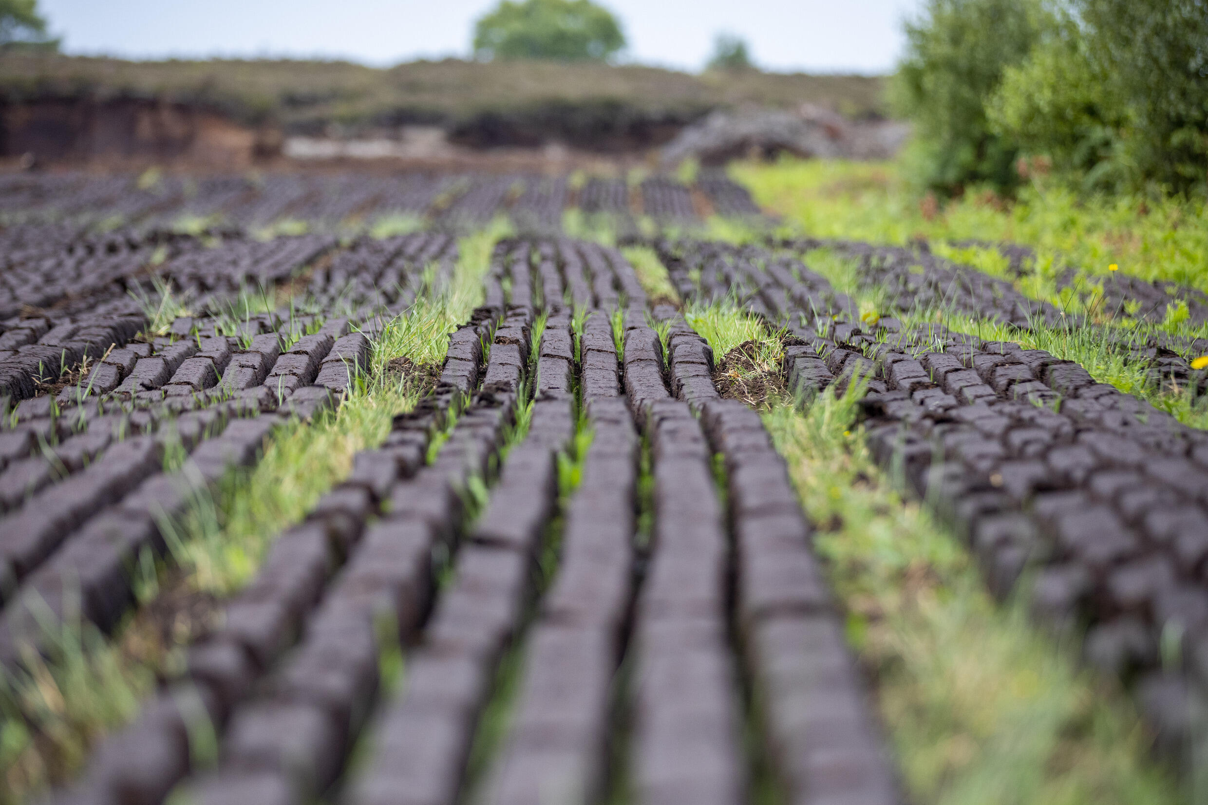 Turf wars stall Ireland's green agenda