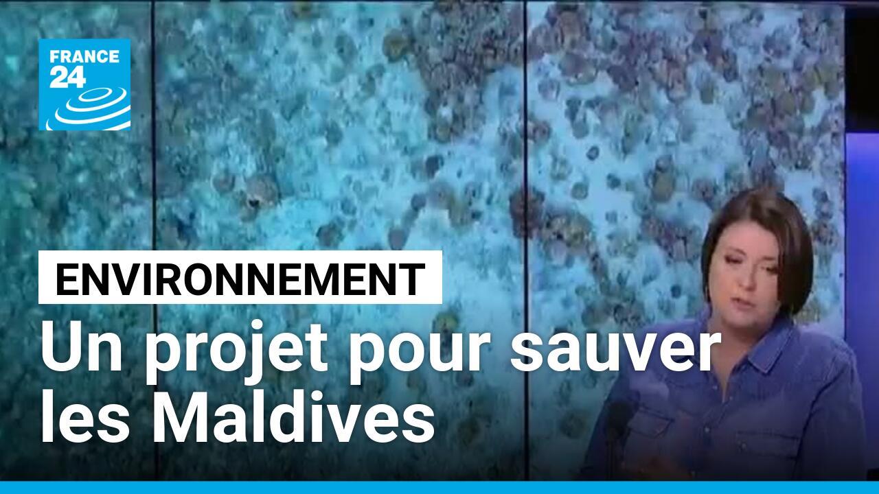 Environnement : lutter contre la pollution plastique et sauver les ...