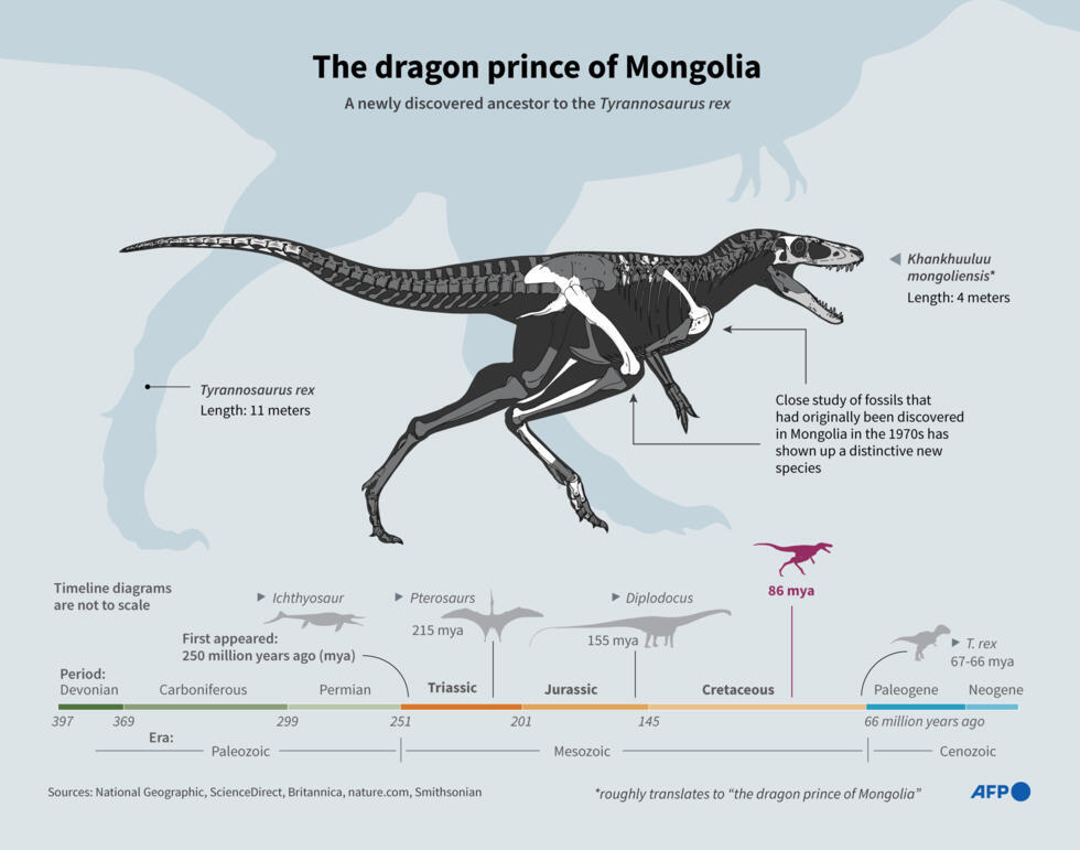 New T-Rex ancestor discovered in drawers of Mongolian institute