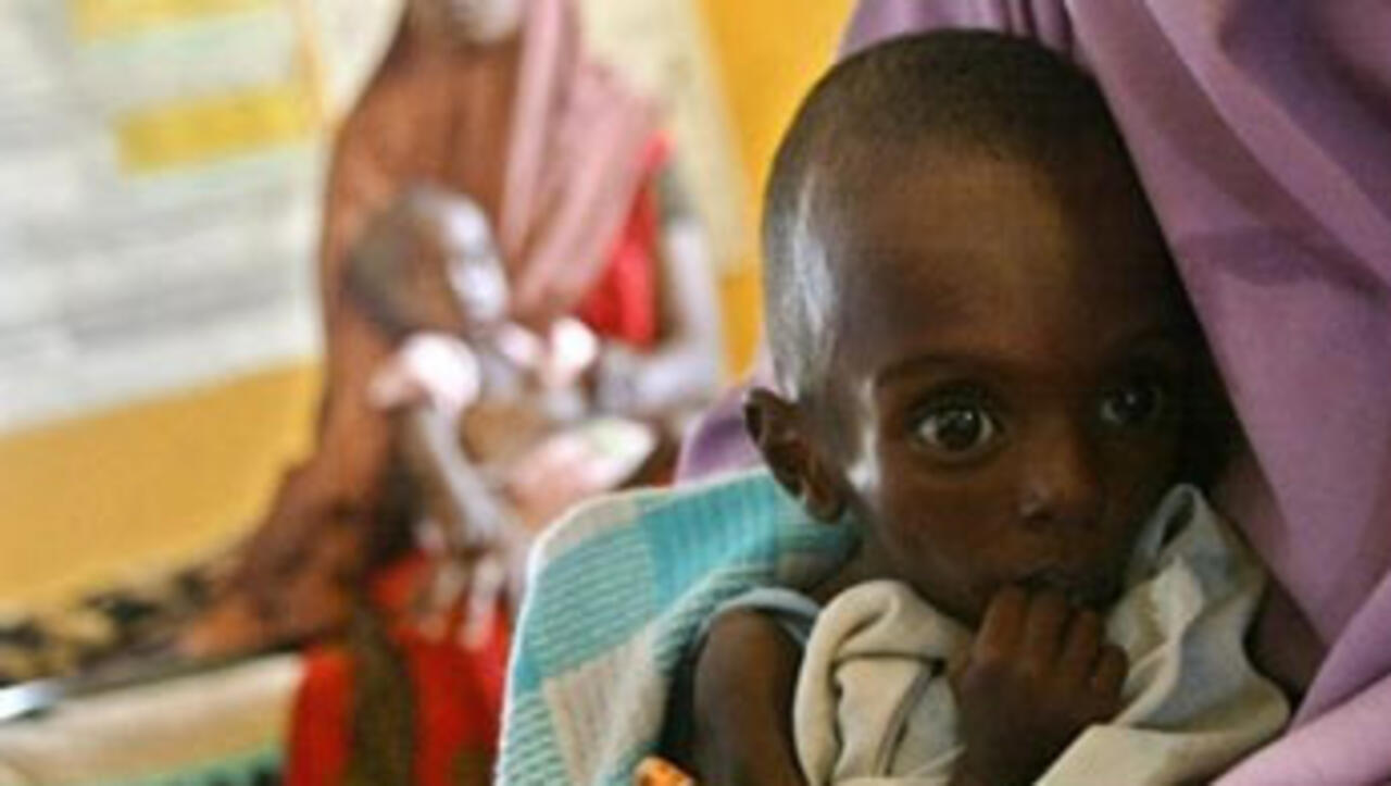 Chances of halving world hunger by 2015 'remote'